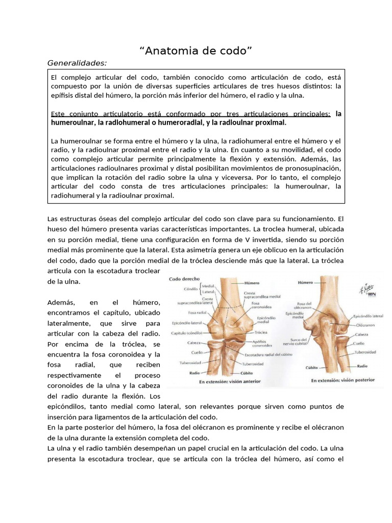 Anatomia de Codo | PDF | Codo | Articulación