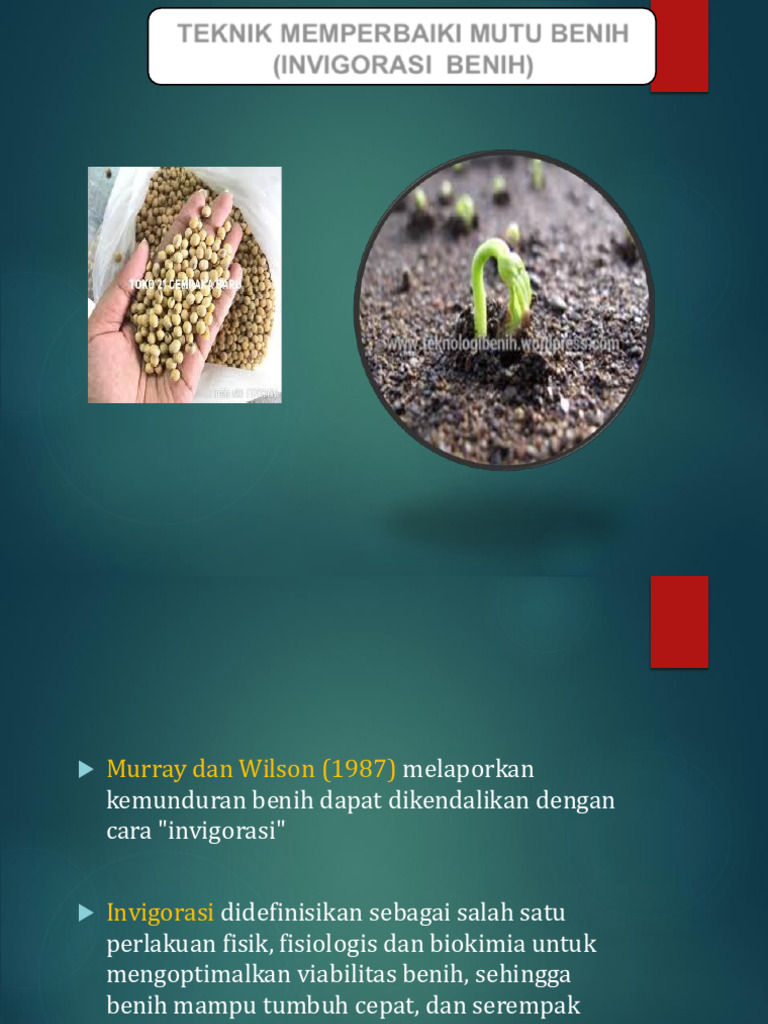 Teknik Memperbaiki Mutu Benih (Invigorasi) | PDF