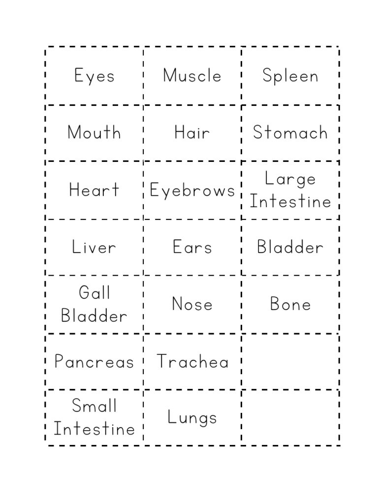 Body Part Labels | PDF