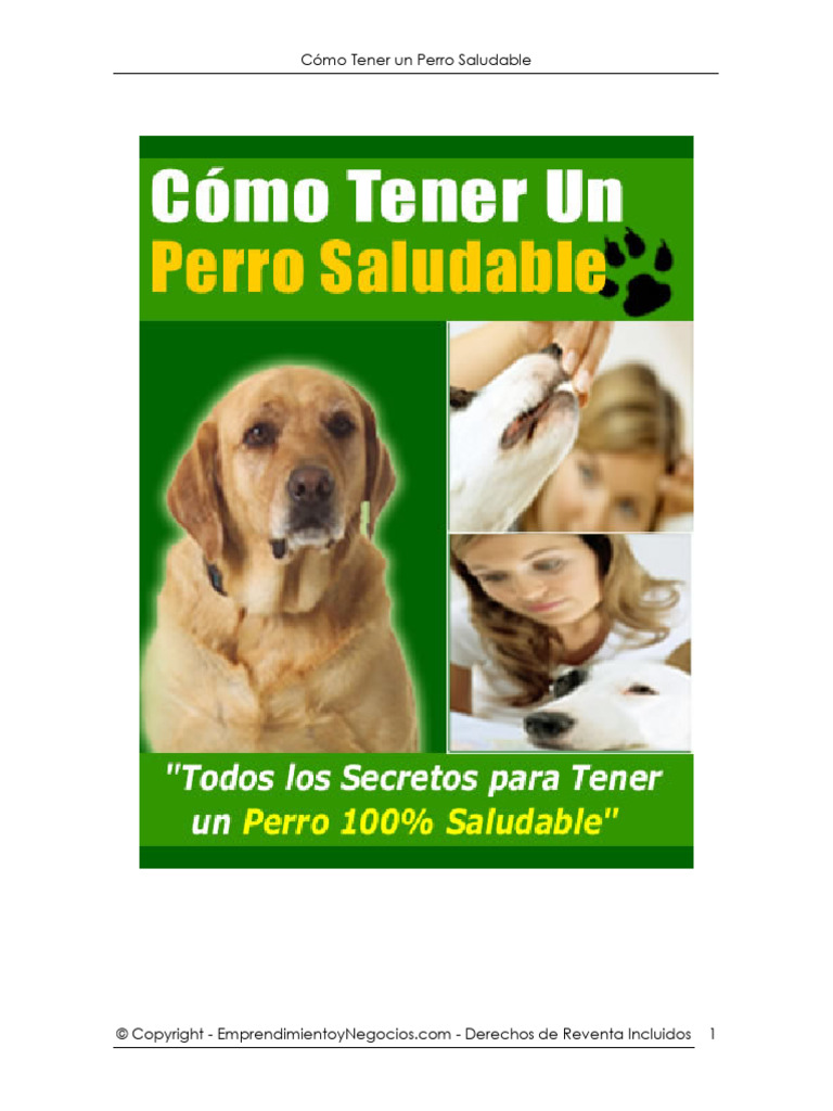 Como Tener Un Perro Saludable | PDF | Alergia | Vitamina