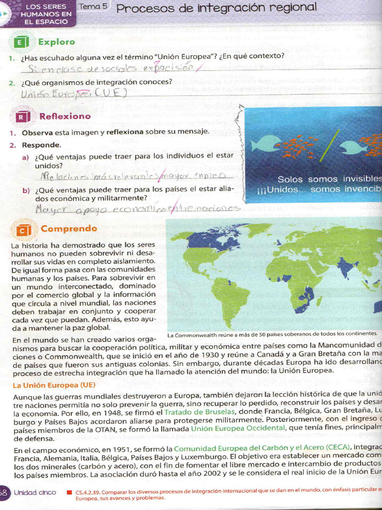proceso de integracion regional | PDF