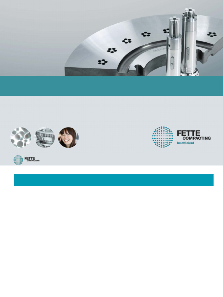 Basics and Standards Fette | PDF | Tablet (Pharmacy) | Industrial Processes
