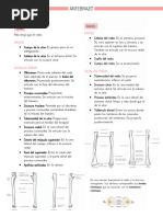 Anatomía del Cúbito: Estructura y Función | PDF | Codo | Extremidades ...