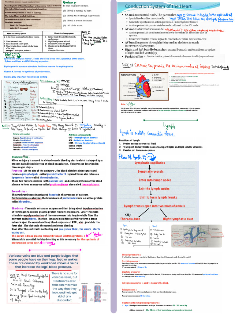 Circulation Class Note 3 | PDF