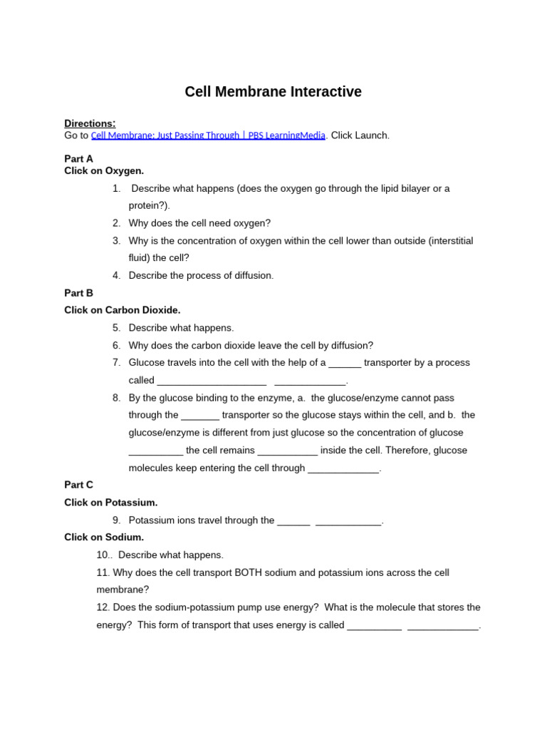 Cell Membrane Interactive | PDF