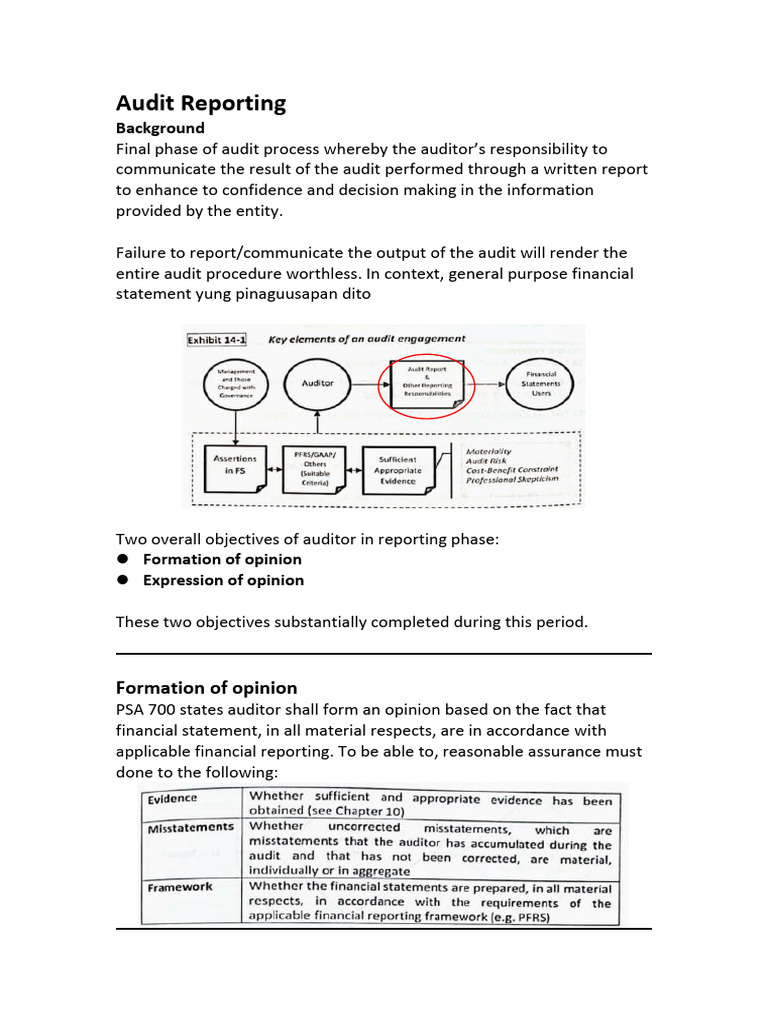 Audit-Reporting | PDF | Auditor's Report | Audit