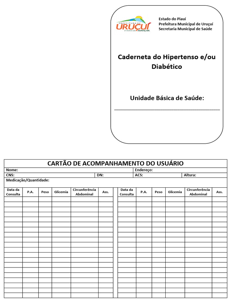 Cartão Hiperdia | PDF