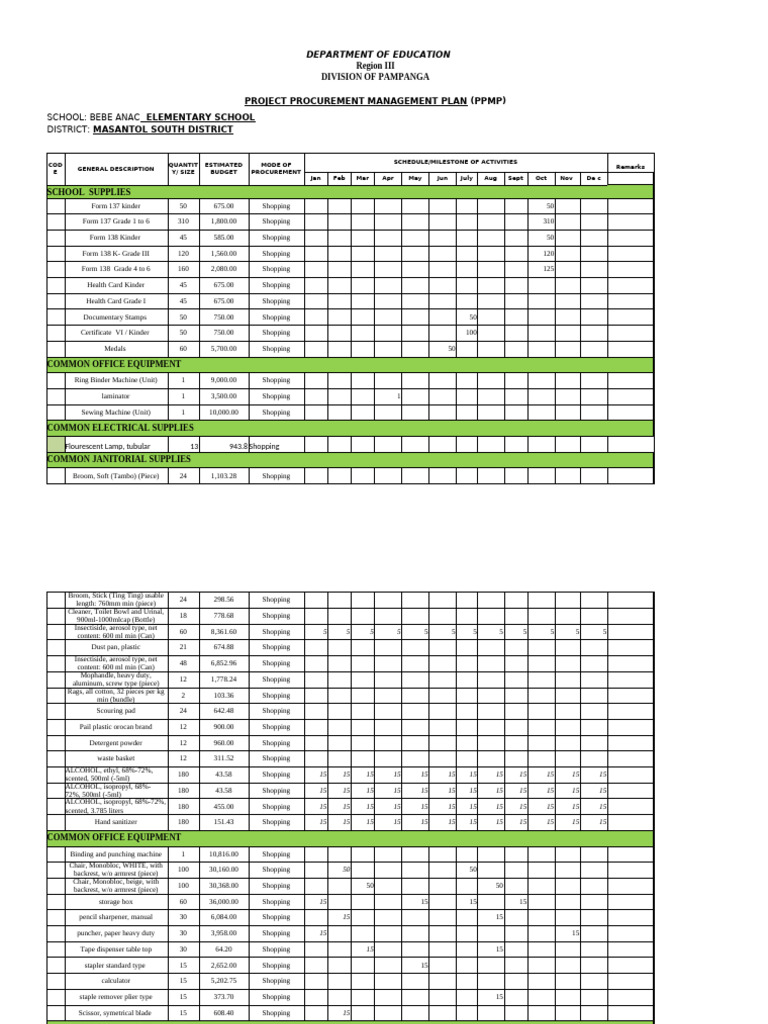 PPMP-BAES-2025-final | PDF | Paper