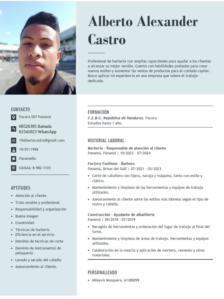 AlbertoAlexander Castro CV 6 (Fotooo | PDF