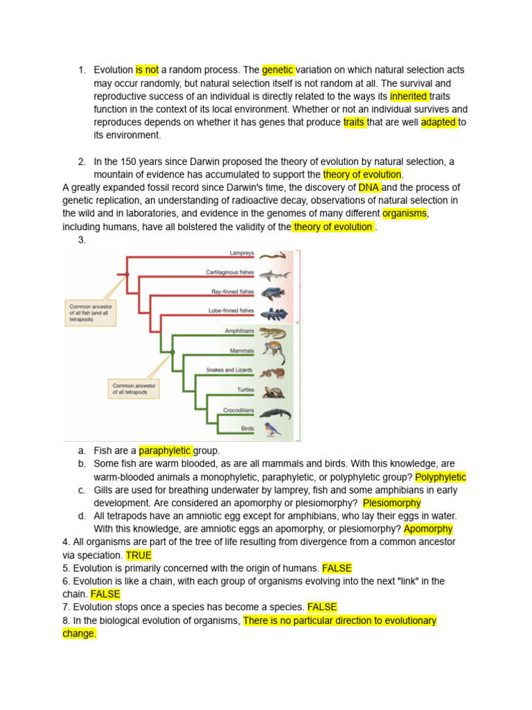 EVO EXAMS | PDF | Evolution | Zygosity