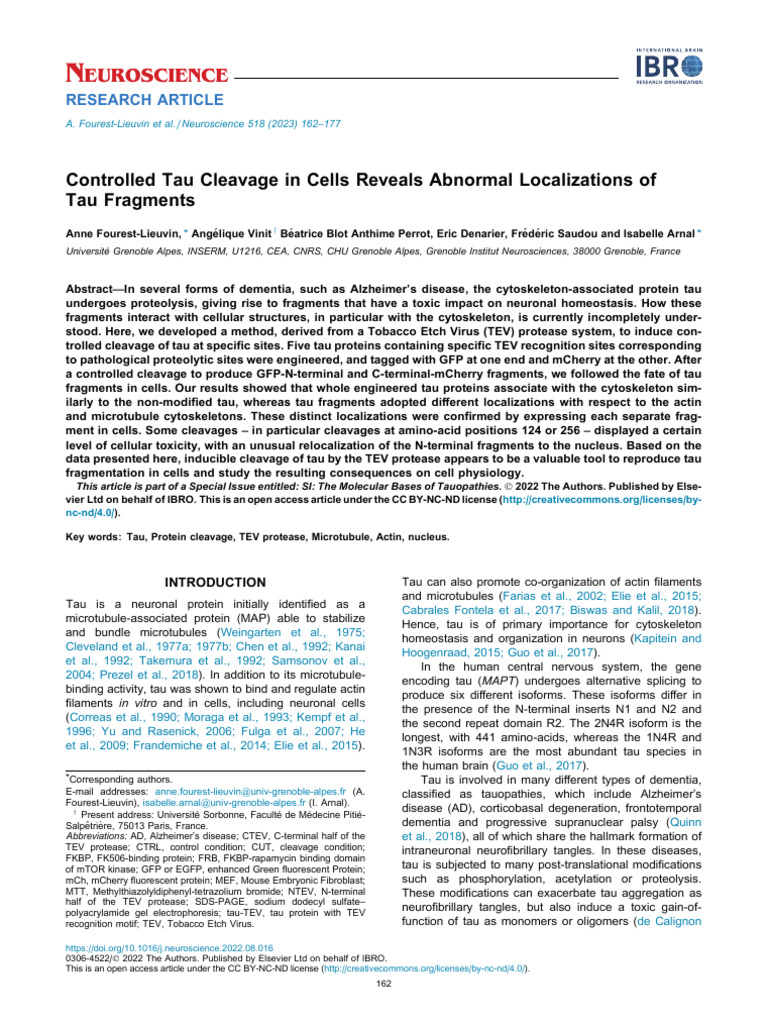 Controlled Tau Cleavage in Cells Reveals Abnormal Localizatio - 2023 ...
