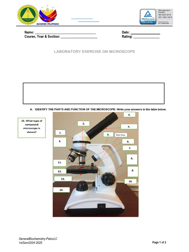 Microscope Lab Exercise for Biochemistry | PDF