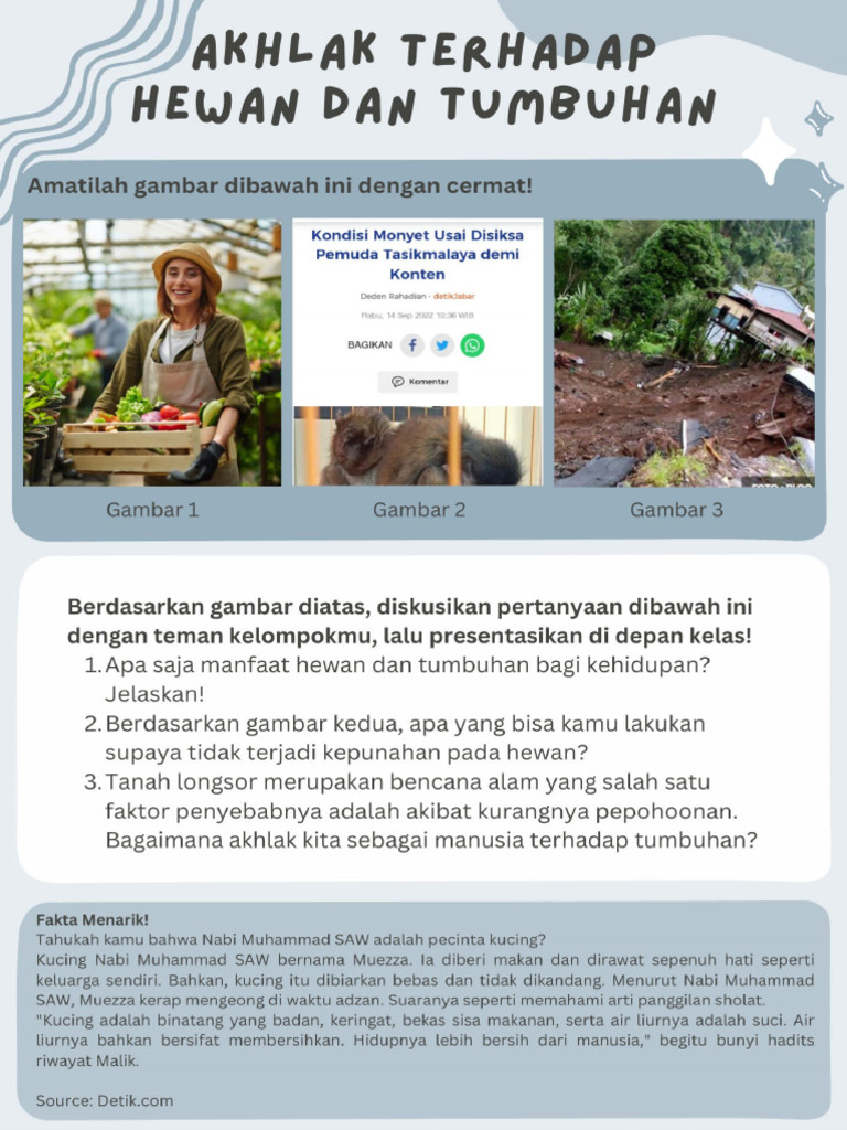 Handout Sd/mi | PDF