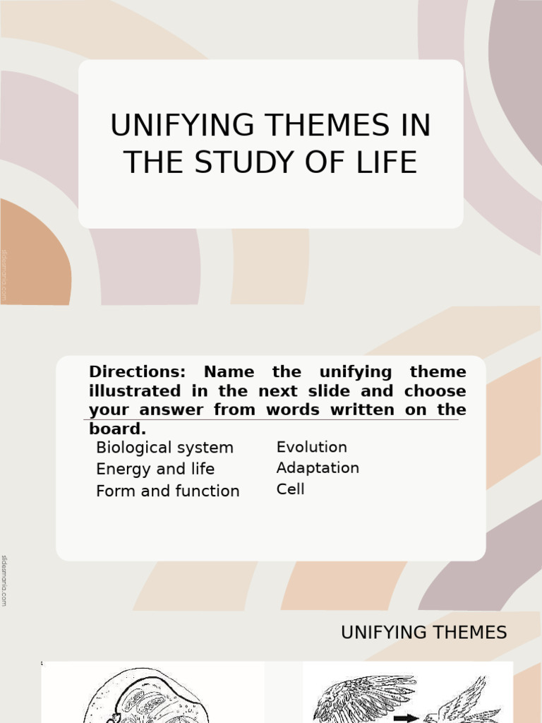 The Connection and Interaction | PDF | Reproduction | Evolution