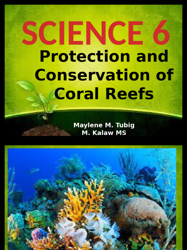 Wk10 Preservation and Conservation of Coral Reef | PDF | Coral | Marine ...