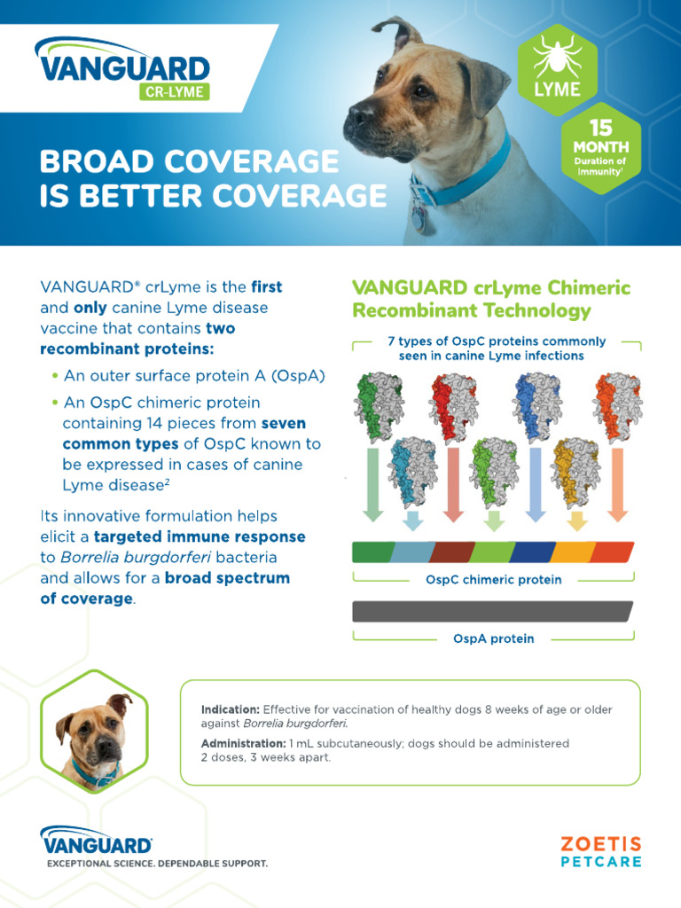 Vanguard CrLyme Summary Sheet | PDF