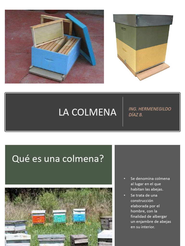 La Colmena | PDF | Colmena | Apicultura
