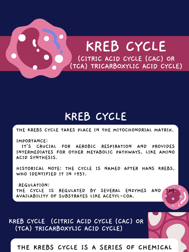 The-Kreb-Cycle 20241128 054736 0000 | PDF | Diet & Nutrition | Chemistry
