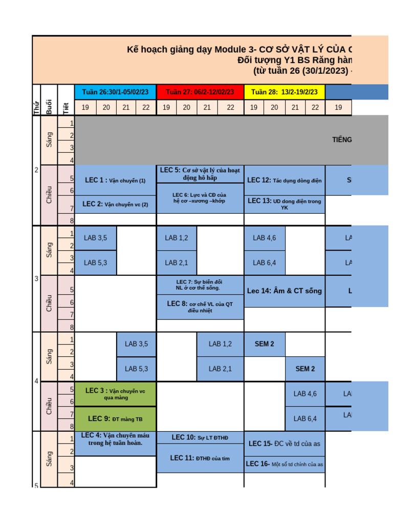 TKB-tổng-hợp-Module-3-Y1-RHM-.12.10 (1) | PDF