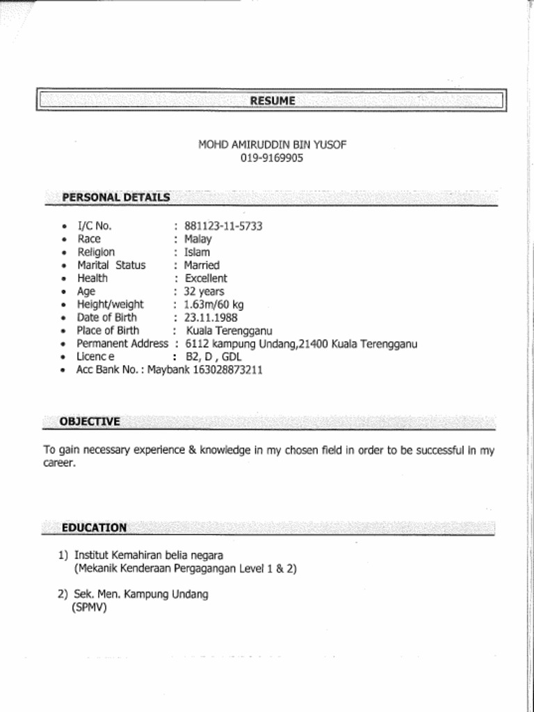 Resume Ameer | PDF