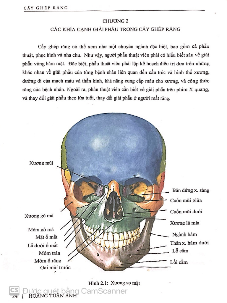 Giai Phau - Ung Dung | PDF