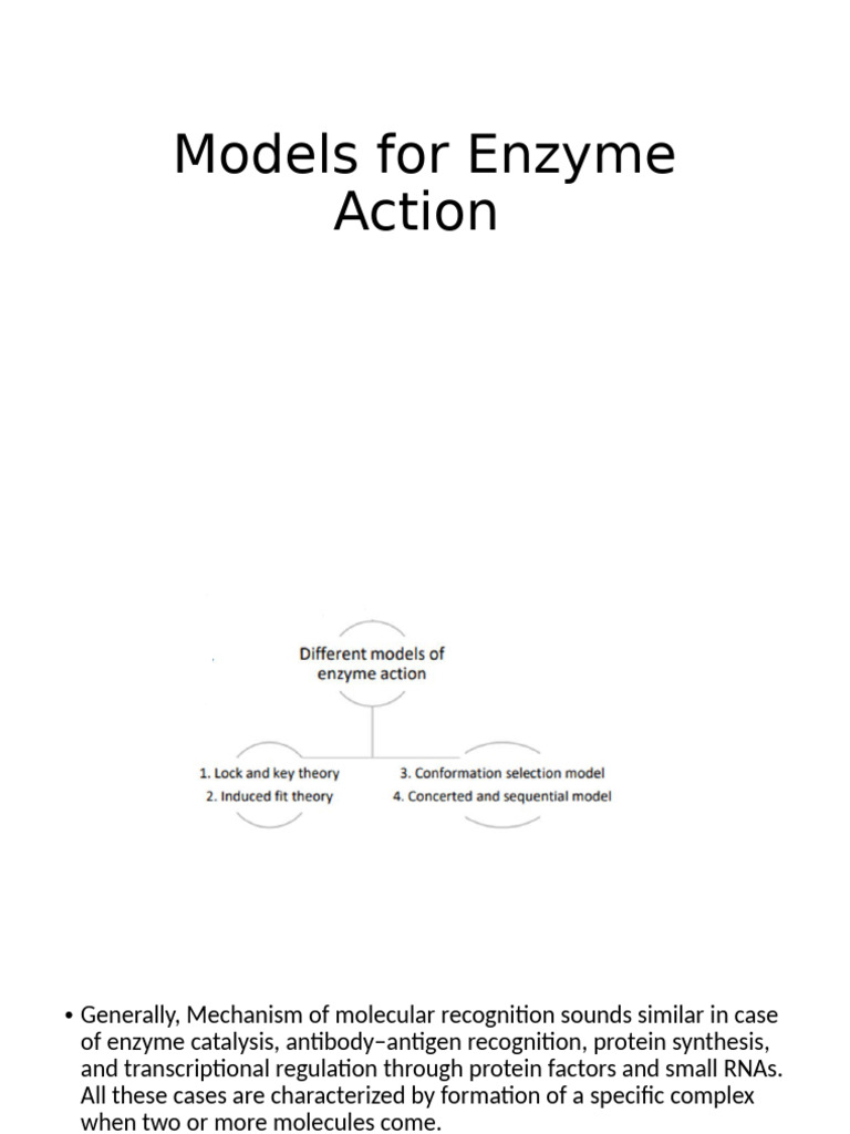 Enzyme Action Models Explained | PDF | Active Site | Enzyme