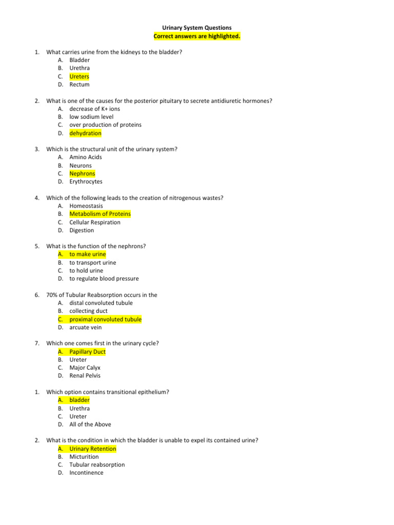 urinary_questions | PDF | Kidney | Urinary System