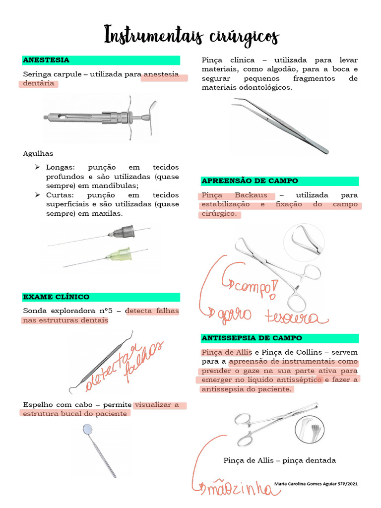 Doc-20241003-Wa0089 241016 001712 | PDF | Dente humano | Boca