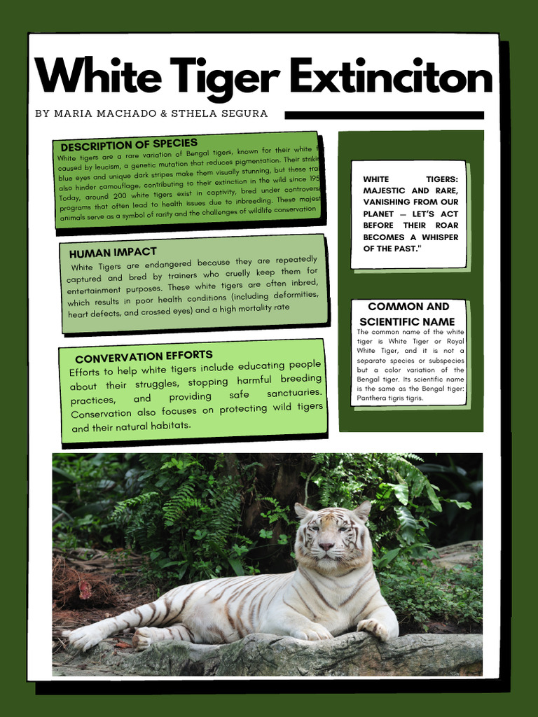 Green Javan Rhinoceros Information Report Endangered Animal Poster ...