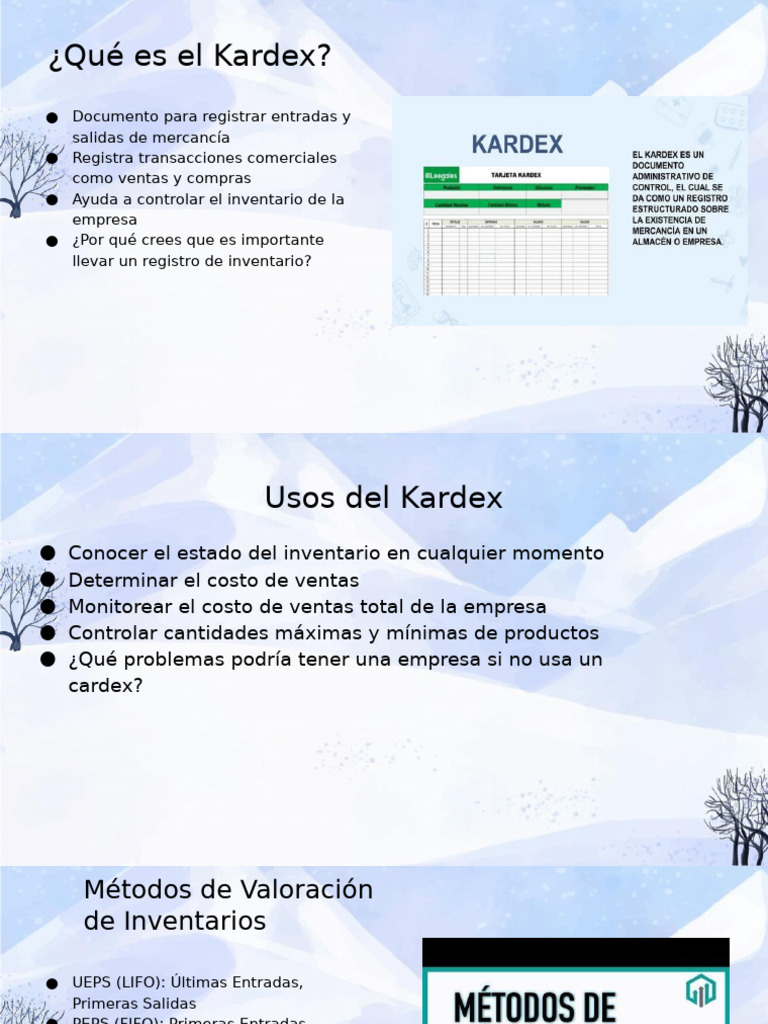 Kardex - Metodo Peps | PDF
