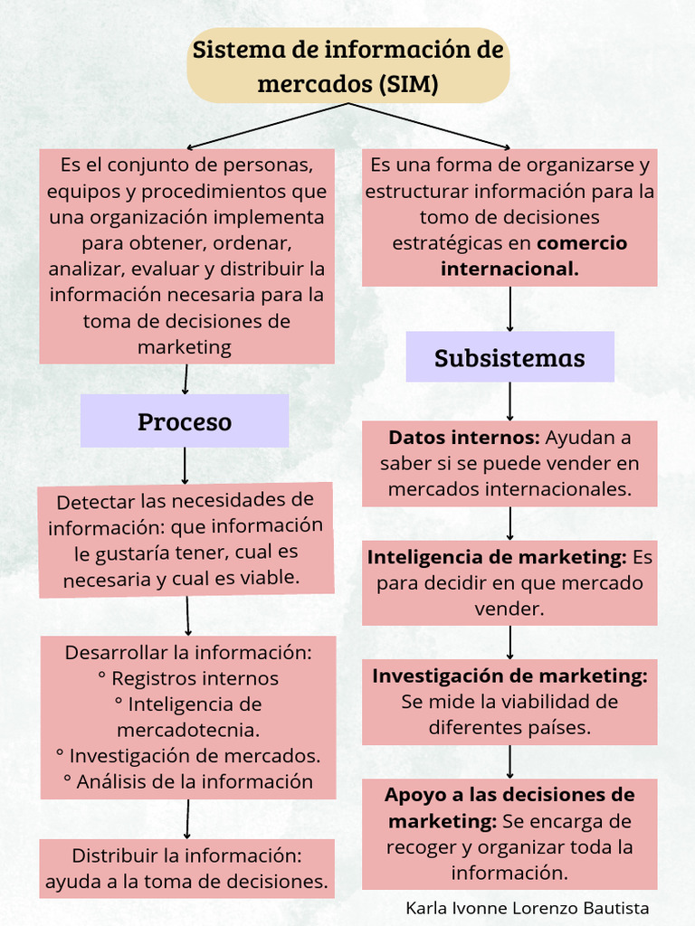 1.1 Mapa Conceptual SIM | PDF
