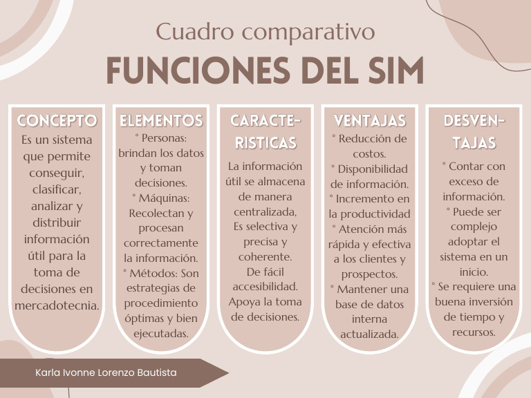 1.2 Cuadro Comparativo. Funciones Del SIM | PDF