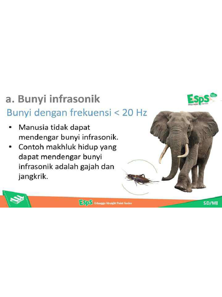 Bunyi Infrasonik | PDF
