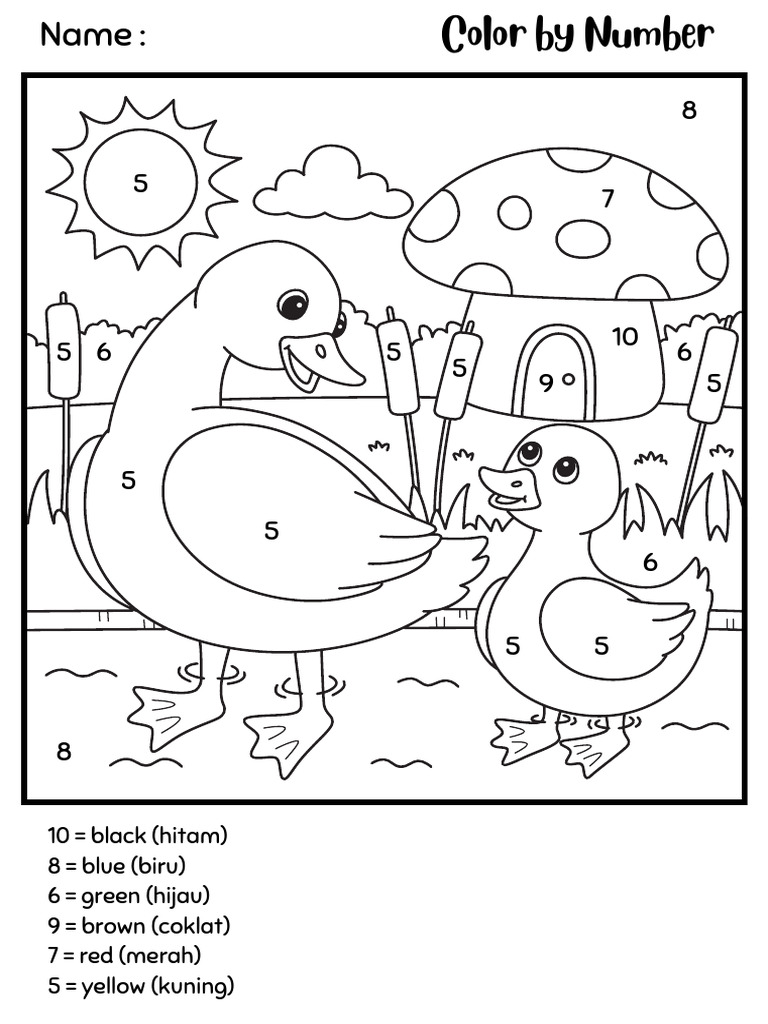 Color by Number | PDF