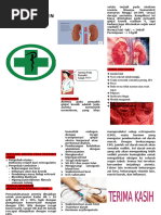 Sdki Slki Siki Risiko Perfusi Renal Tidak Efektif | PDF