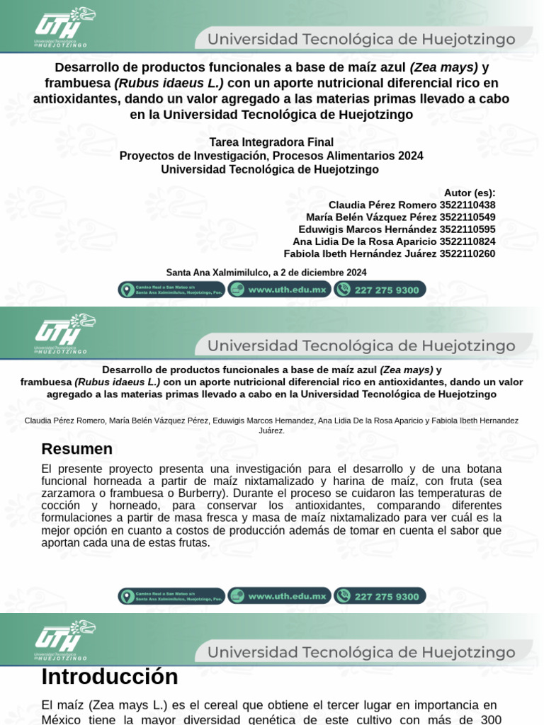 Presentacion Equipo 2 ..1 | PDF | Maíz | Nutrición