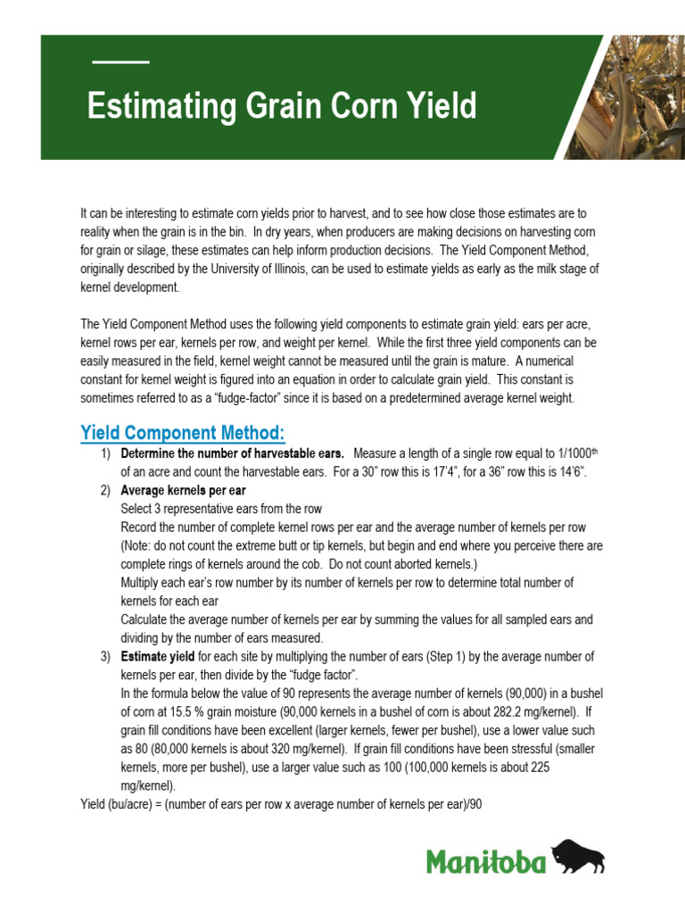 estimating-grain-corn-yield | PDF | Maize | Seed