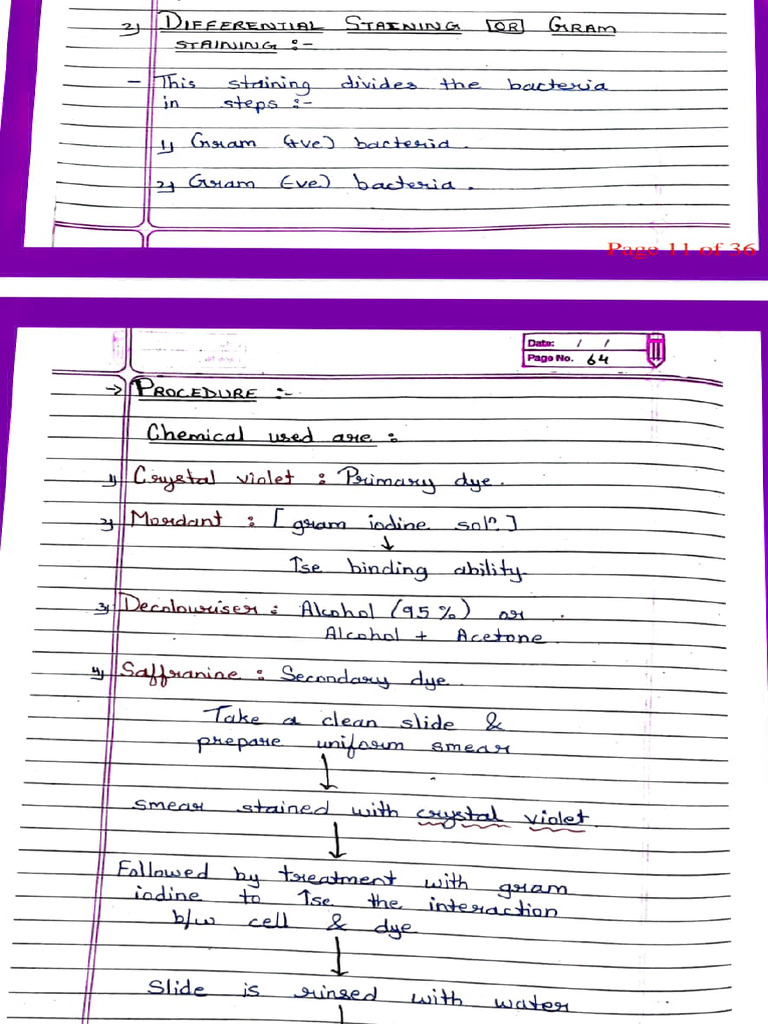 Staining Micro | PDF | Staining | Microscopy