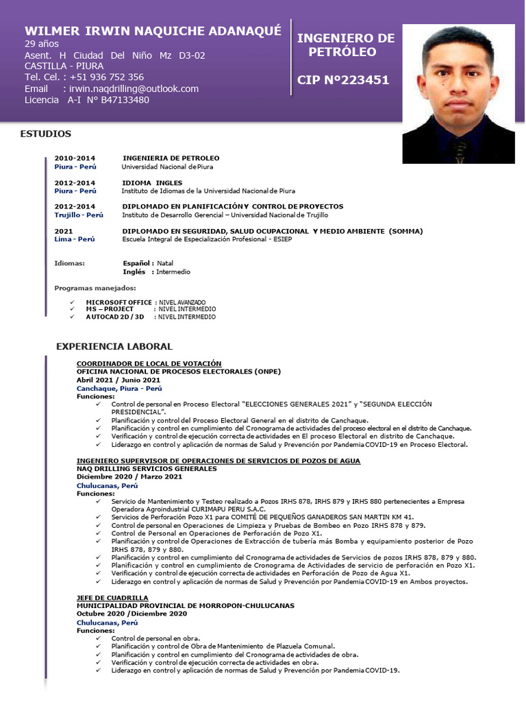 Perfil Profesional de Ingeniero Petrolero | PDF | Minería | Petróleo