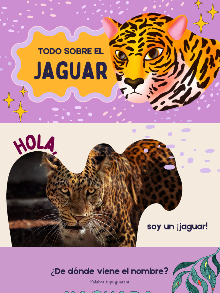 Jaguar | PDF