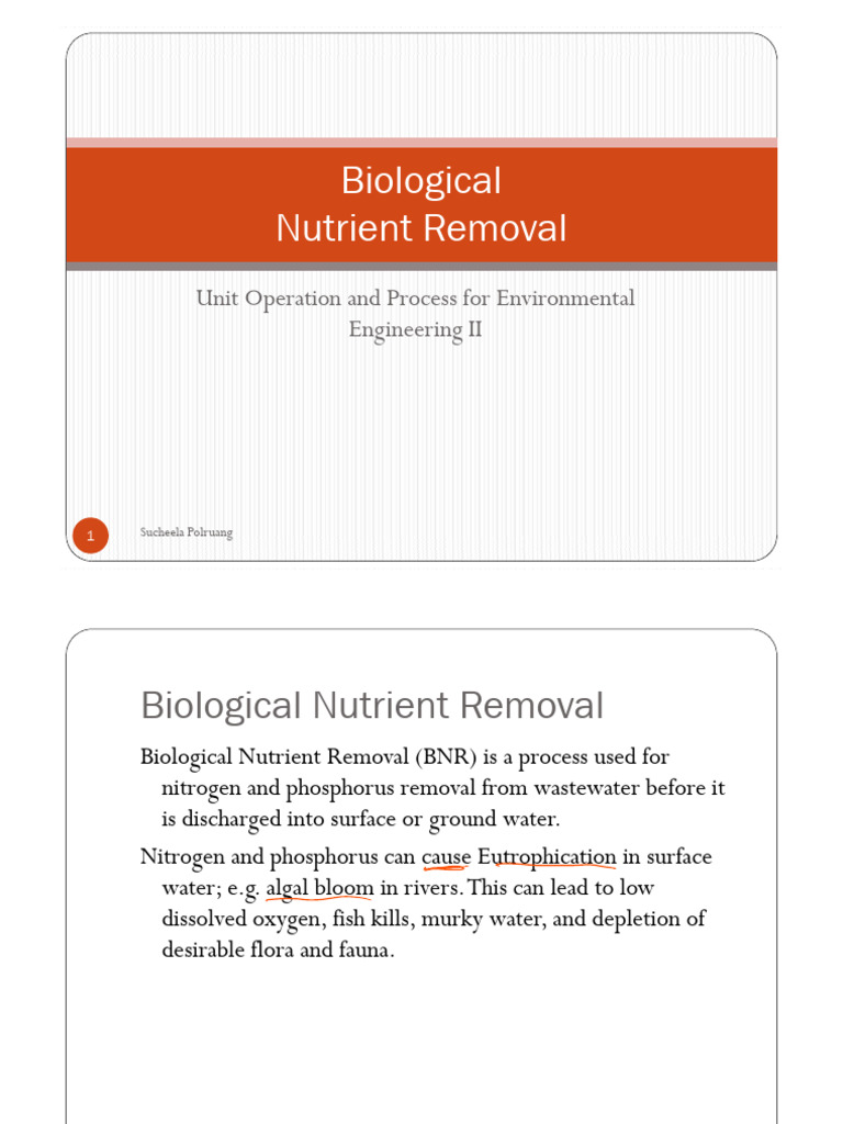 5biological Nutrient Removal | PDF | Sewage Treatment | Environmental ...