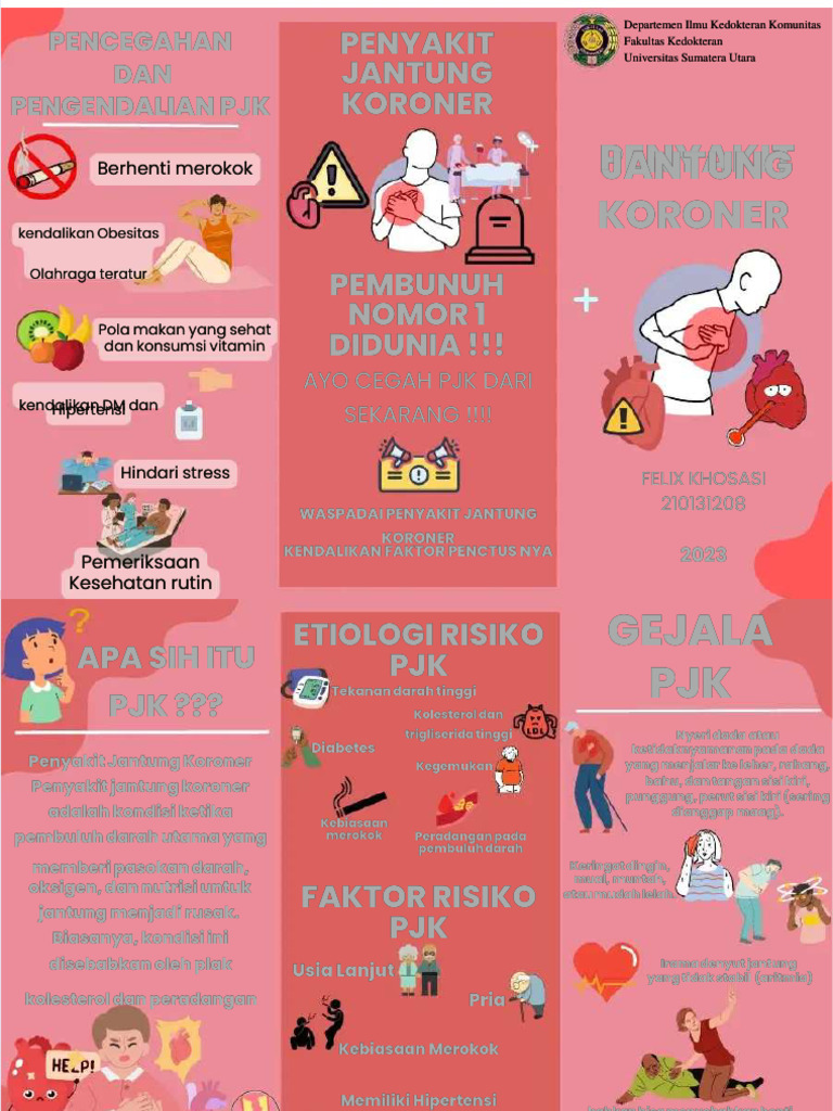 PDF Leaflet Penyakit Jantung Koroner Felix Khosasi Compress | PDF