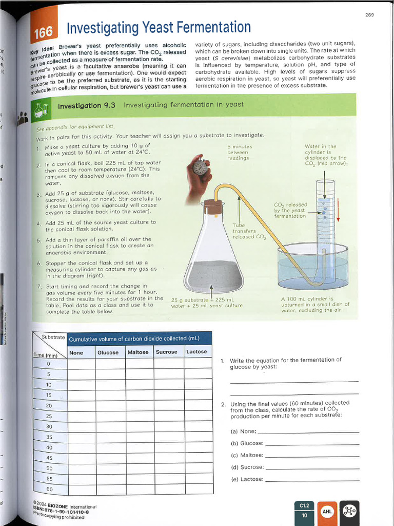 C1.2 Measuring Yeast Respiration_Biozone | PDF