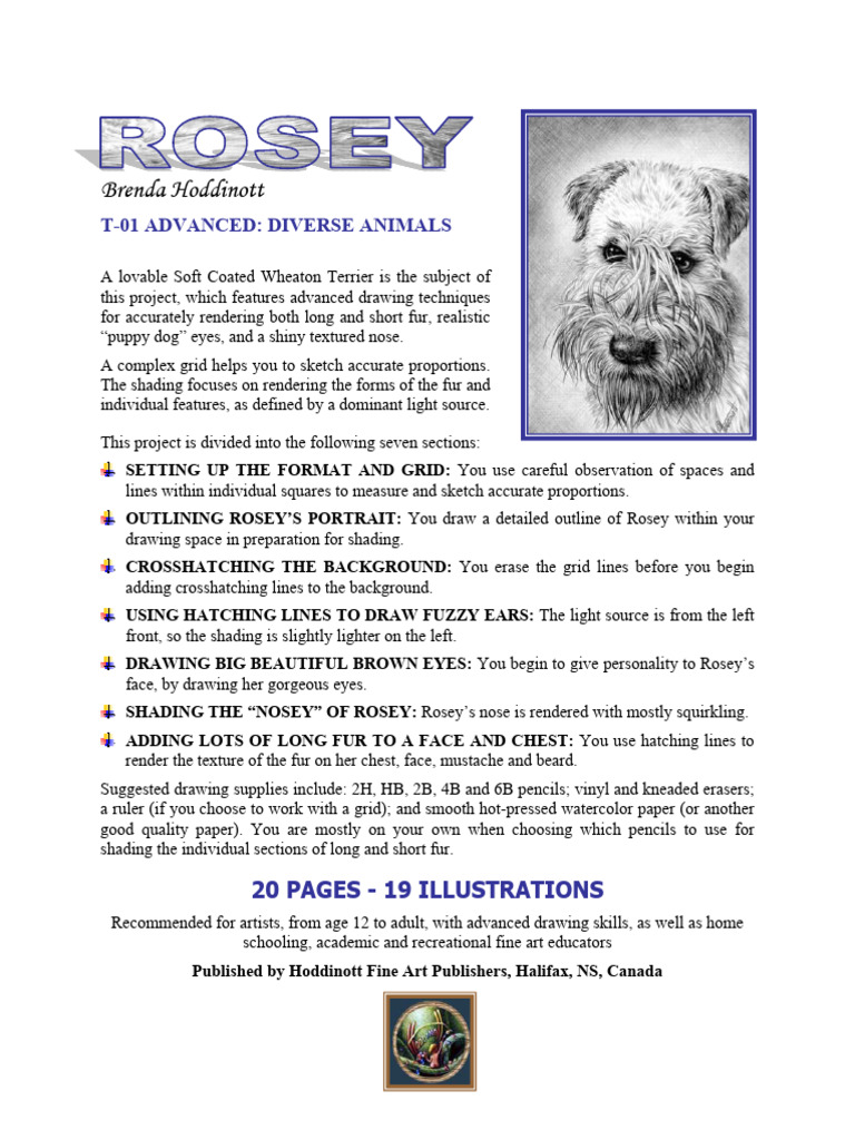 T01 - Rosey | PDF | Drawing