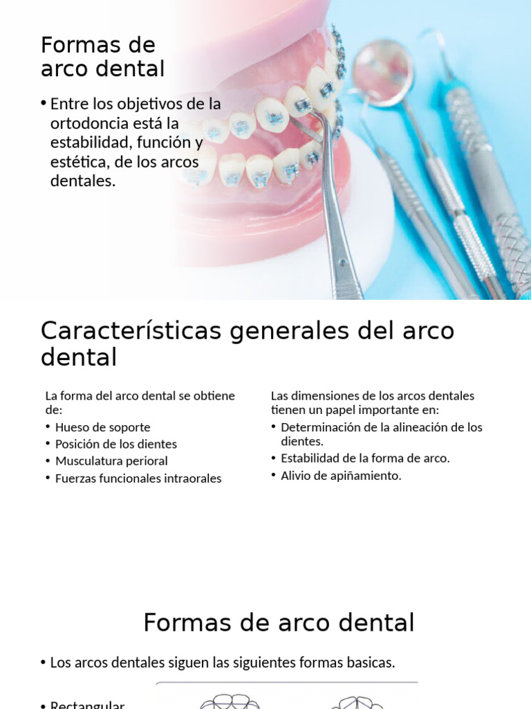 6.Formas de arco | PDF | Ortodoncia | Diente