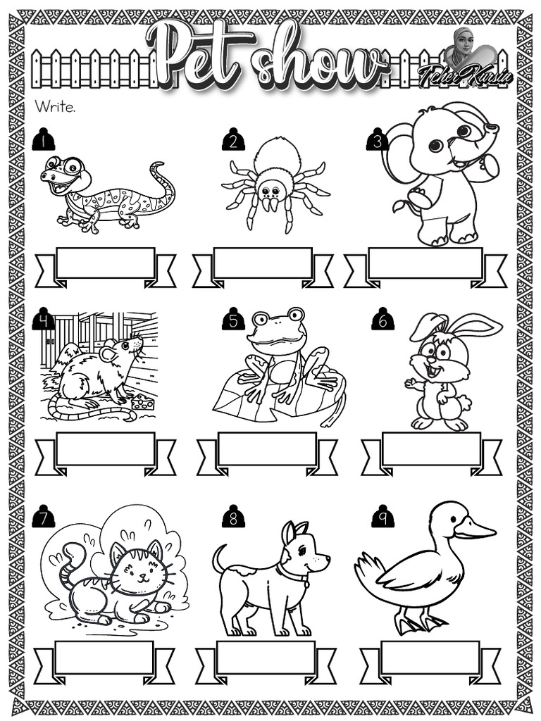 Pet Show Write | PDF