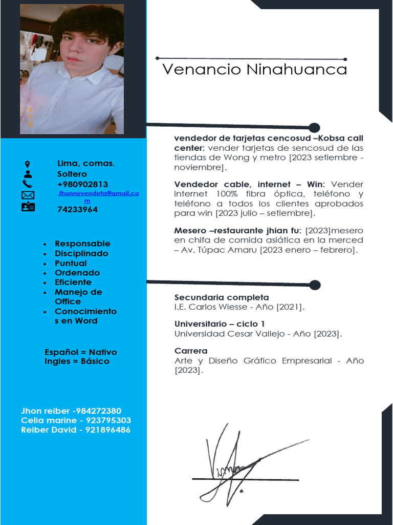 Modelo de CV profesional | PDF