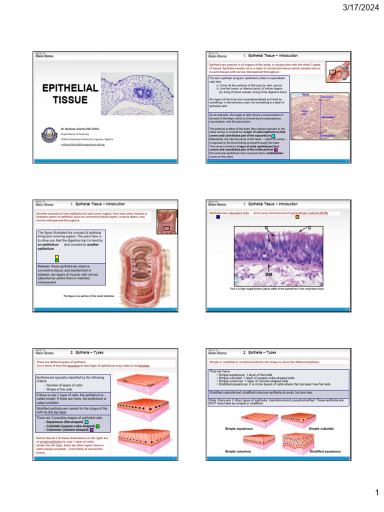 Epithelial Tissue Types Guide | PDF | Epithelium | Anatomy
