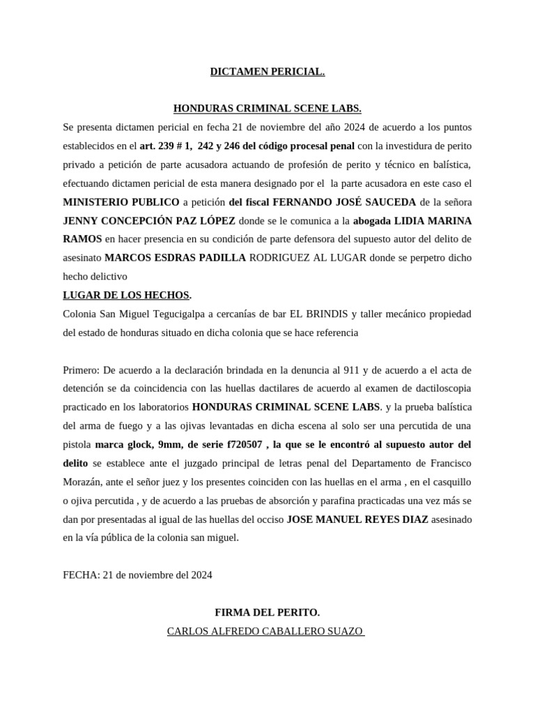 Dictamen Pericial en Caso de Asesinato | PDF