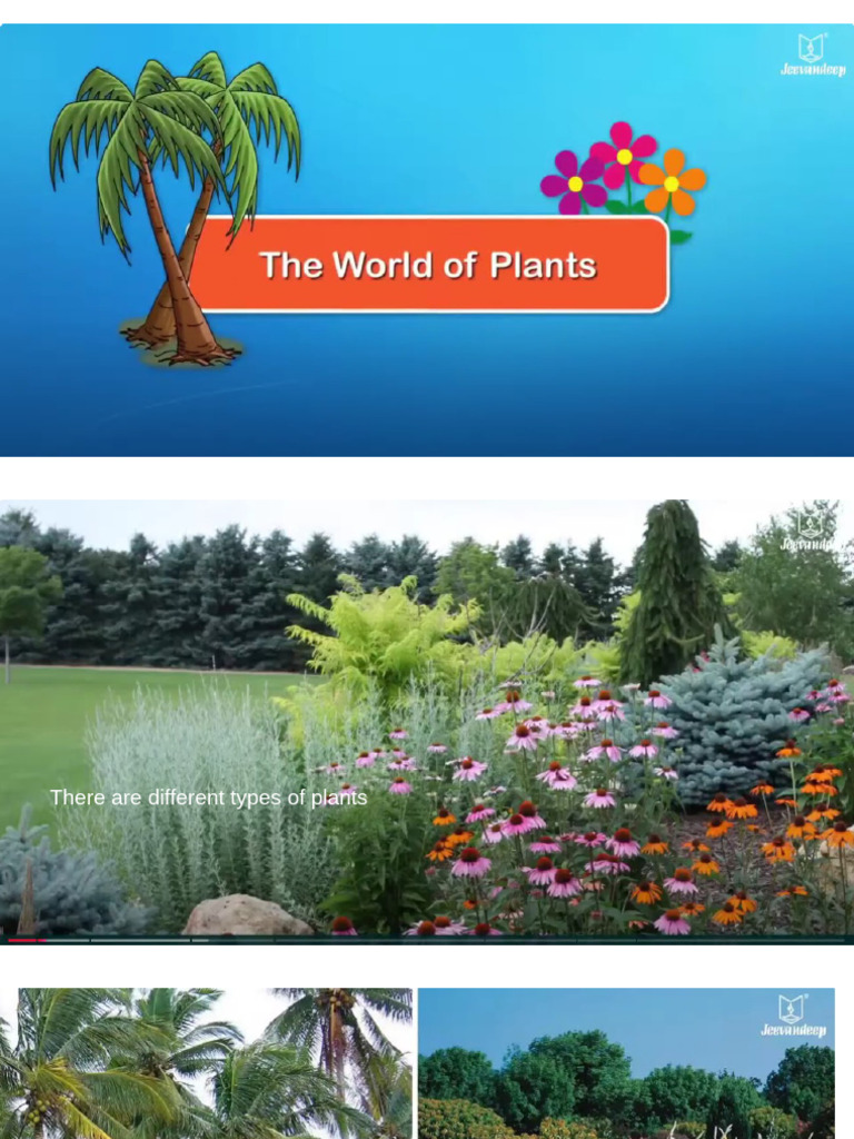 Types and Care of Plants Explained | PDF